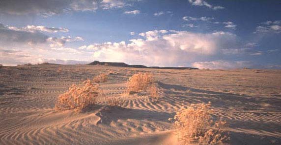 Best things to do in Wyoming: top attractions and tips for planning a trip